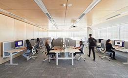 Australian Catholic University (ACU)