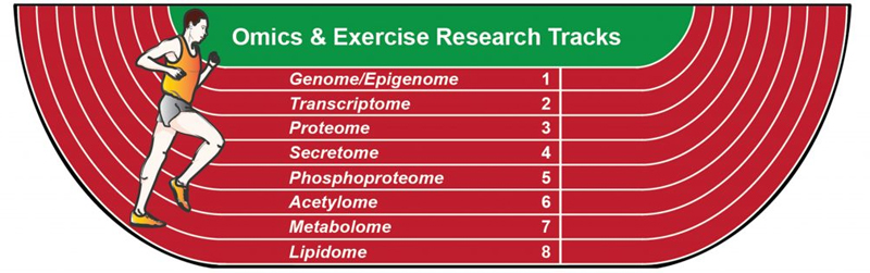 Mapping and interrogating human exercise-regulated tissue